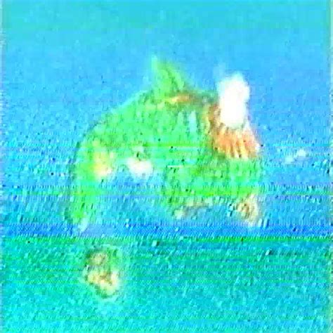 Toadofsky Albums Songs Discography Biography And Listening Guide Rate Your Music