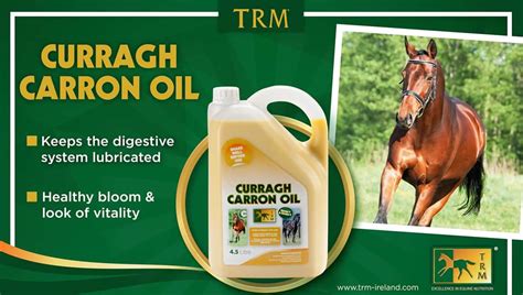 Curragh Carron Oil Zenn Equine Hard As Nails Horse Rugs