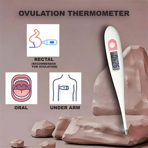 B Arm Basal Body Digital Ovulation Thermometer Pregnancy Planning And Temperature Tracking