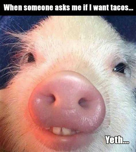 Yeth Rcomedycemetery
