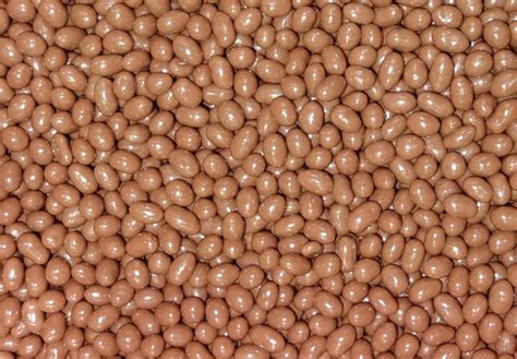 Get Robern Menz Chocolate Peanuts At The Professors Online Lolly Shop 4727