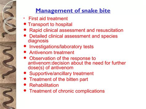 First Aid On Snake Bite Ppt