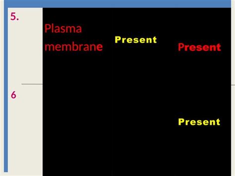 Sturcture Of Prokaryotic And Eukaryotic Cells Cell Division Mitosis