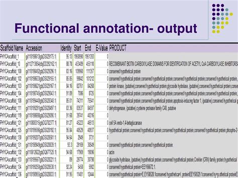 Ppt Genome Annotation Powerpoint Presentation Free Download Id4776252