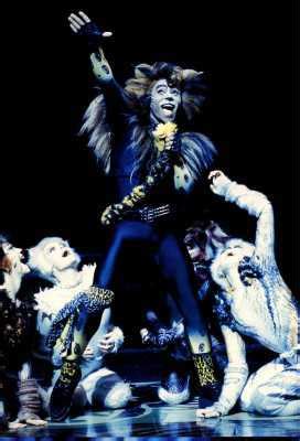 Rum Tum Tugger Char