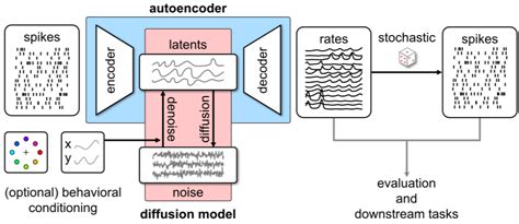 논문 리뷰 Latent Diffusion For Neural Spiking Data