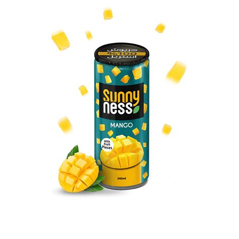 قیمت و خرید آبمیوه انبه همراه با تکه های میوه سانی نس 240 میلی لیتر بسته 24 عددی