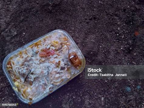 바닥에 있는 플라스틱 용기에 담긴 유기농 음식물 쓰레기 퇴비화를 위해 남은 음식물 0에 대한 스톡 사진 및 기타 이미지 0 0명 가정 생활 Istock