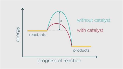 Activation Energy Graph With Catalyst
