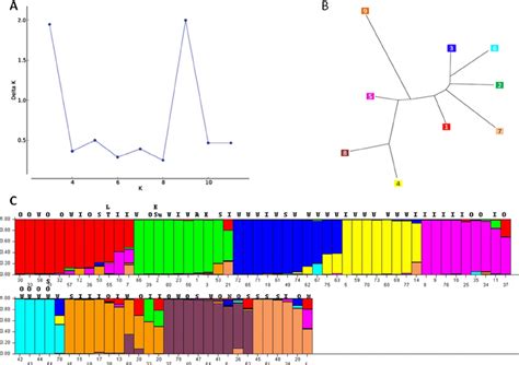 population structure analysis using structure 2 40 a deter mination