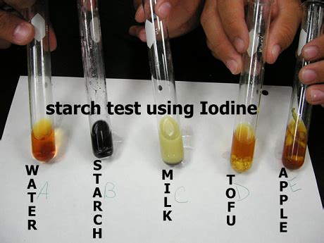 1 Food Tests Biology Revision Site