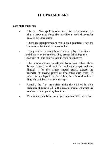 Permanent Maxillary 1st Premolar Pptx