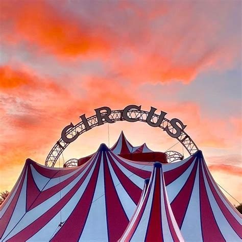 Circus Bella On Instagram Instagram Bella Circus