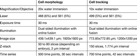 Settings For Light Sheet Microscopy Download Scientific Diagram