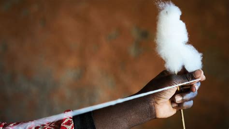 7 De Octubre Día Mundial Del Algodón Mundo Negro