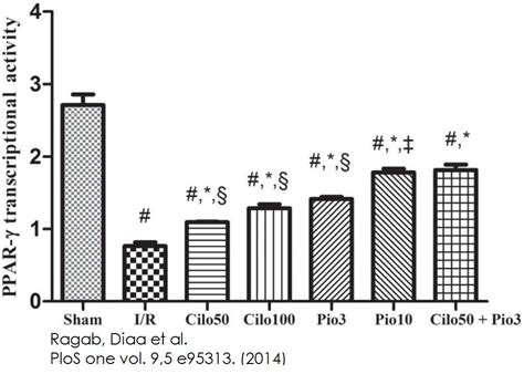 Nuclear Extraction Kit 60 Min Assay 100 Tests Ab113474 Abcam