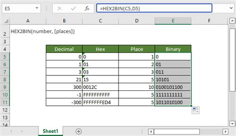 How To Use The Excel HEX BIN Function