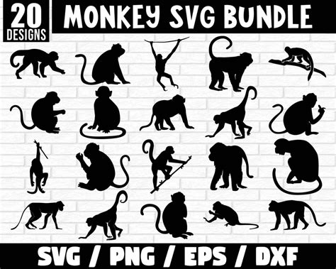 Monkey Svg Bundle Monkey Svg Monkeys Svg Monkey Silhouette Monkey