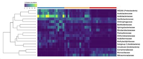 Heatmap Of Bacterial Families Present At Maximum Abundances Greater