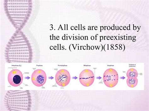 General Biology Postulate Of Cell Theory Lesson 1ppt