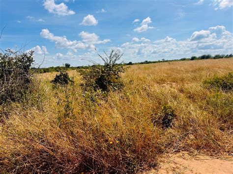 Maclean Sandra Phiri Added A New Photo Maclean Sandra Phiri