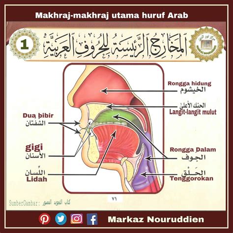 Makhraj2 Utama Huruf Arab Learning Arabic For Beginners Tajweed Quran Quran
