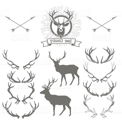 Elk Antler Vector At Collection Of Elk Antler Vector