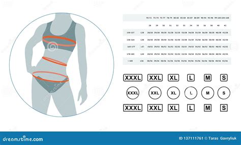 30 Z Bra Size
