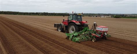 Industry Knowledge Cultivation In Commercial Root Crop Production