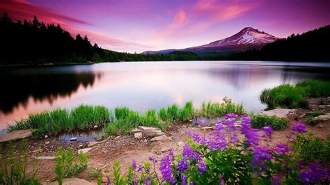 Colorful Nature Wallpapers Wallpaper Cave