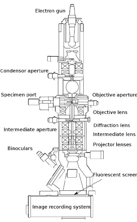 1 2 7 Schematic Diagram Of Optical Components In A Basic Tem System [14] Download Scientific
