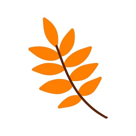 Premium Vector Vector Hand Drawn Autumn Leaf Isolated On White