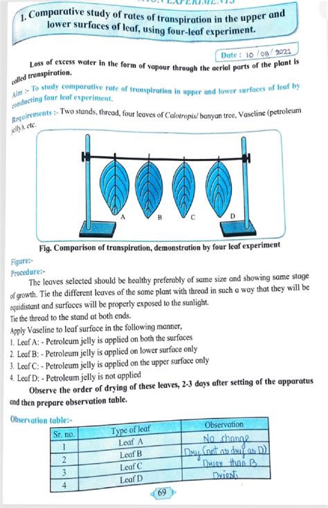 Transpiration Experiment Procedure