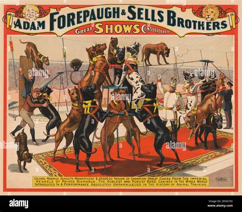 Vintage Adam Forepaugh And Sells Brothers Circus Poster Showing Great
