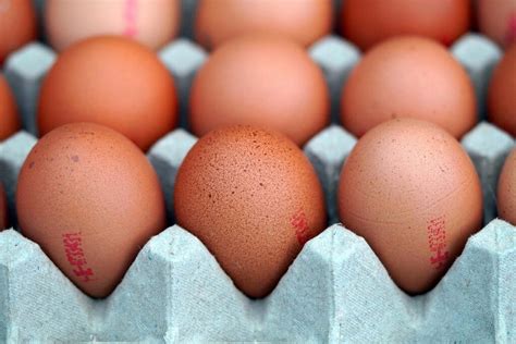 Choosing The Best Egg Crates For Your Chicken Eggs Farm Feathered