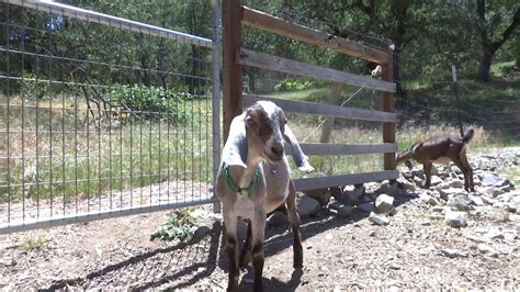 Devin Gooden Home Facebook