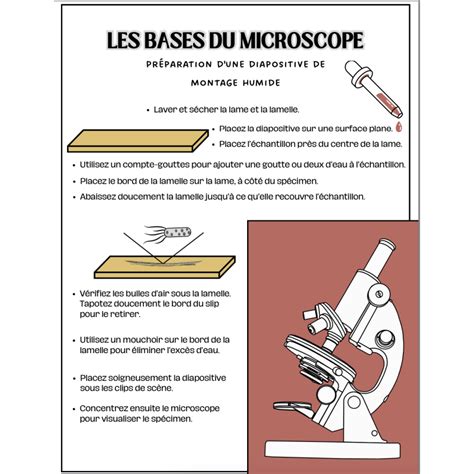 Parties Du Microscope