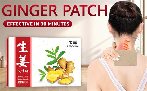 120pcs Ginger Patch For Muscle And Joint Relief Natural