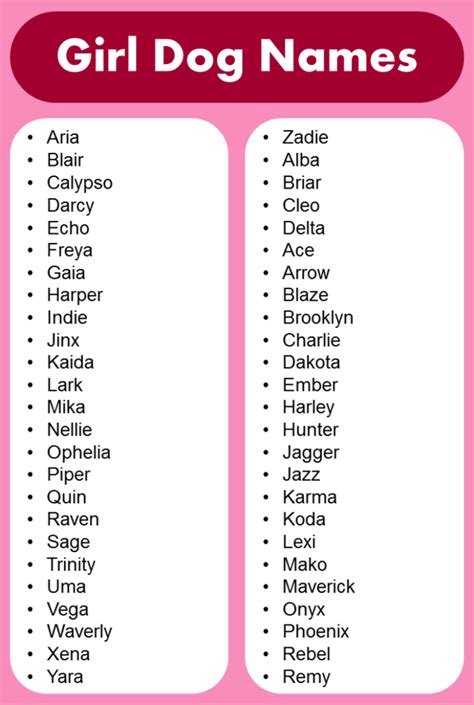 Dog Names For Girls Cute Female Dog Names Actnci
