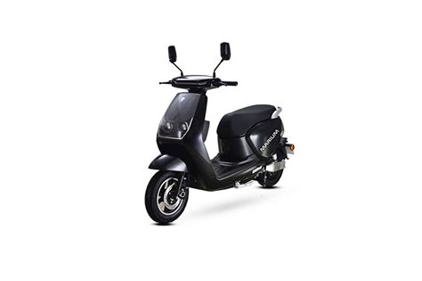 E Went Marium Colours Marium Color Images