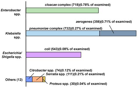 Antibiotic Coverage Enterobacter At Carla Langford Blog