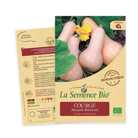 Courge Musquée Butternut Green Gardium
