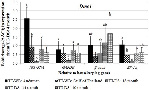 Relative expression levels in term of fold change ΔΔCt of a known Download Scientific Diagram