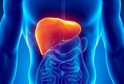 Primary Biliary Cholangitis Pbc Artofit