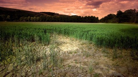 Soil Wallpapers Wallpaper Cave