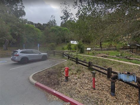 Education Center In Redwood City Park To Reopen This Weekend Redwood