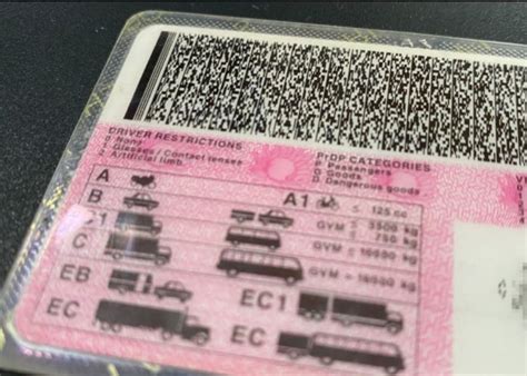 Ethekwini Municipality Helps Youth Obtain Drivers Licence Economy24