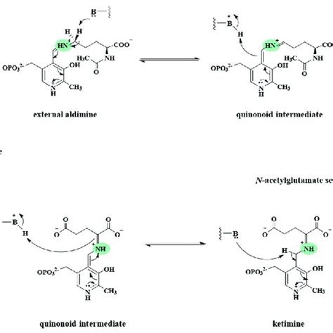 Secondary Structure Analysis Of P5cs Oat And Prodh Download