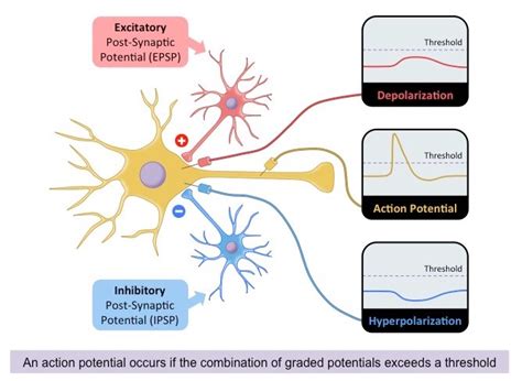 Graded Potential Diagram Graded Potential