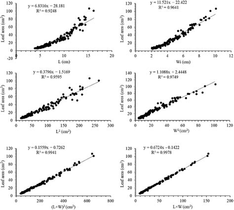 Linear Regression Models Predicting The Leaf Area Of C Officinalis As